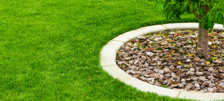 Which is Better: Real Turf or Artificial Grass? - Fantastic Services Blog